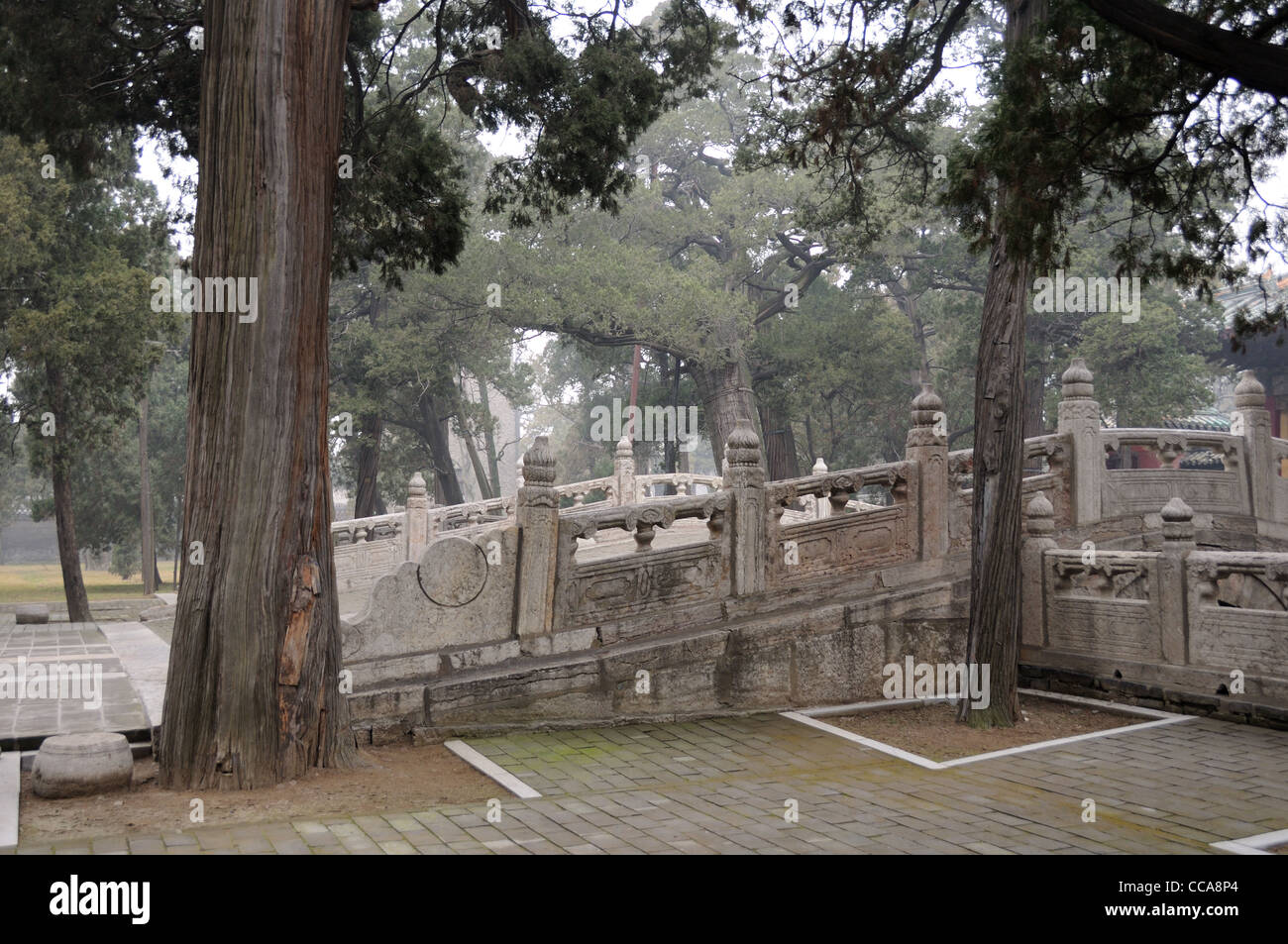 Confucius temple bridges and trees Stock Photo - Alamy
