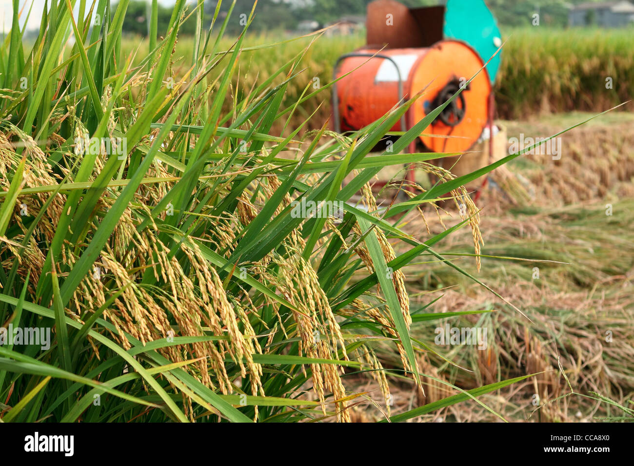 Vintage rice wood machine Stock Photo - Alamy