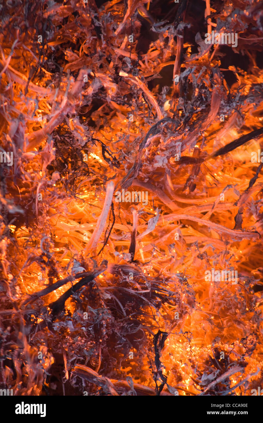 Fire in detail Stock Photo - Alamy
