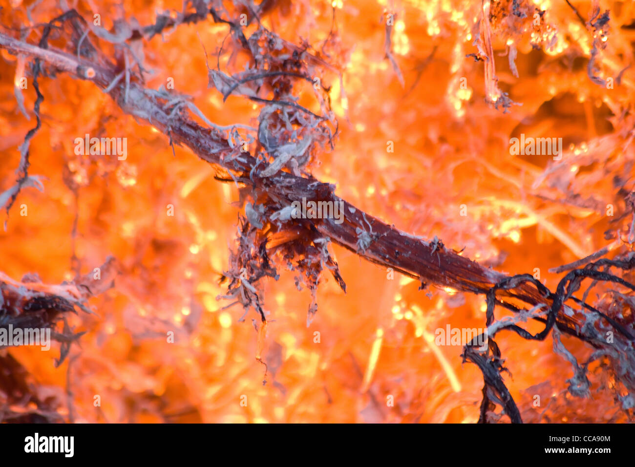 Fire in detail Stock Photo - Alamy