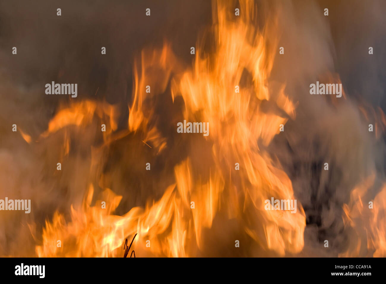 Fire in detail Stock Photo - Alamy