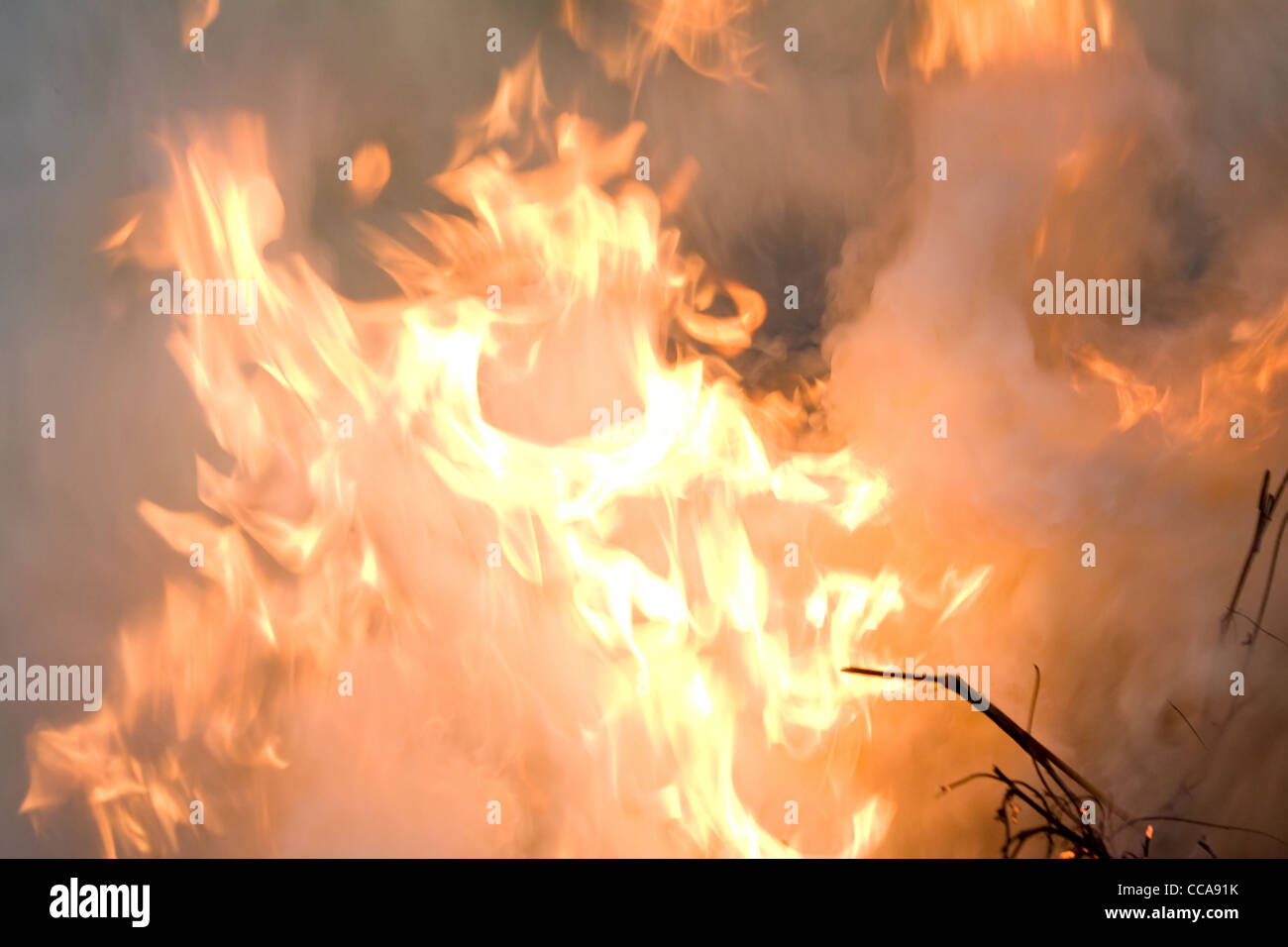 Fire in detail Stock Photo - Alamy