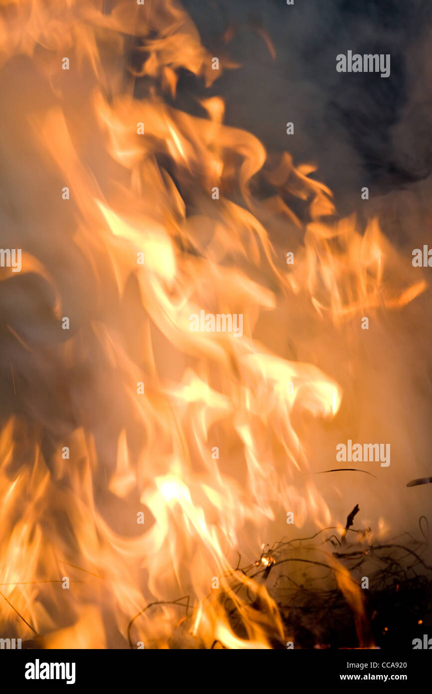 Fire in detail Stock Photo - Alamy
