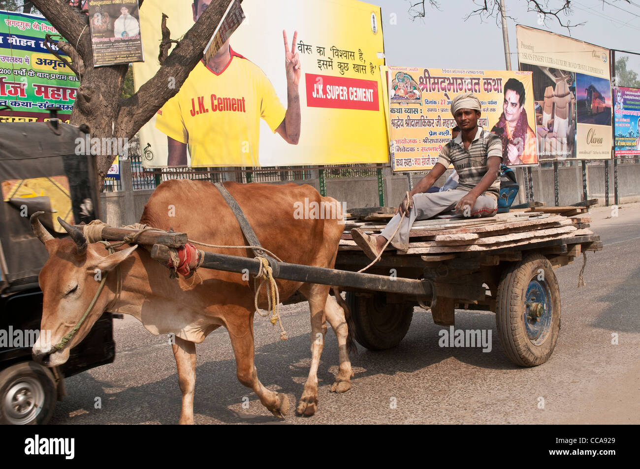 Traditional indian ox cart transport hi-res stock photography and ...