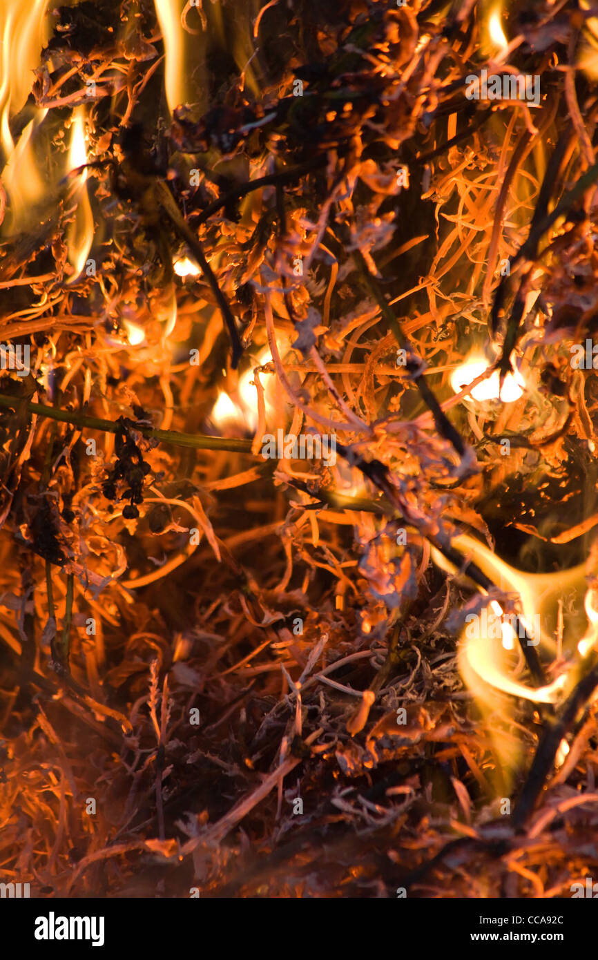 Fire in detail Stock Photo - Alamy