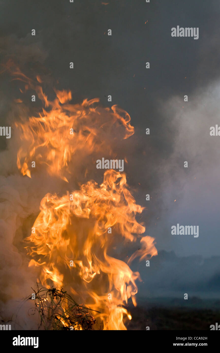 Fire in detail Stock Photo - Alamy