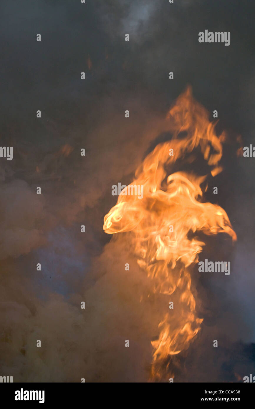 Makro site hi-res stock photography and images - Alamy