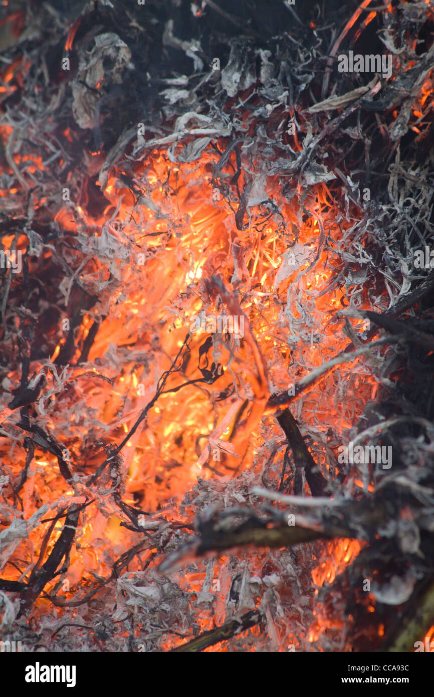 Fire in detail Stock Photo - Alamy
