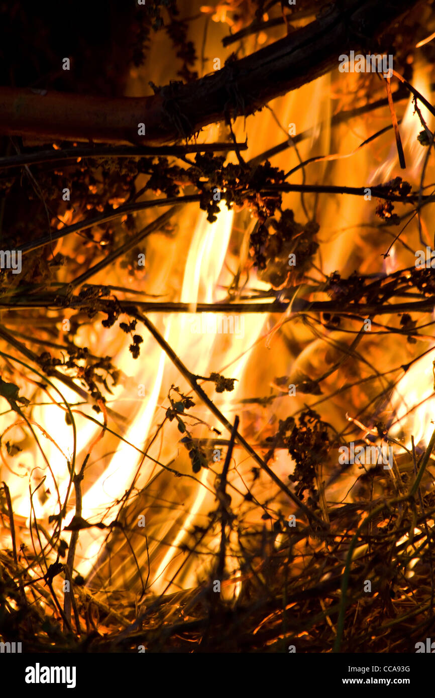 Fire in detail Stock Photo - Alamy