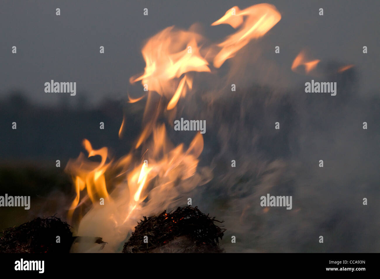 Fire in detail Stock Photo - Alamy