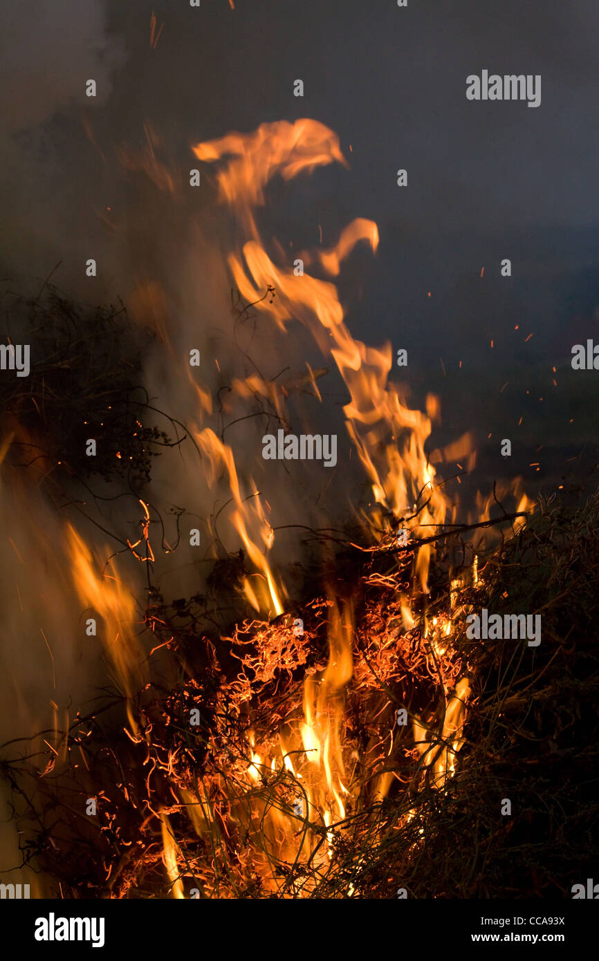 Fire in detail Stock Photo - Alamy
