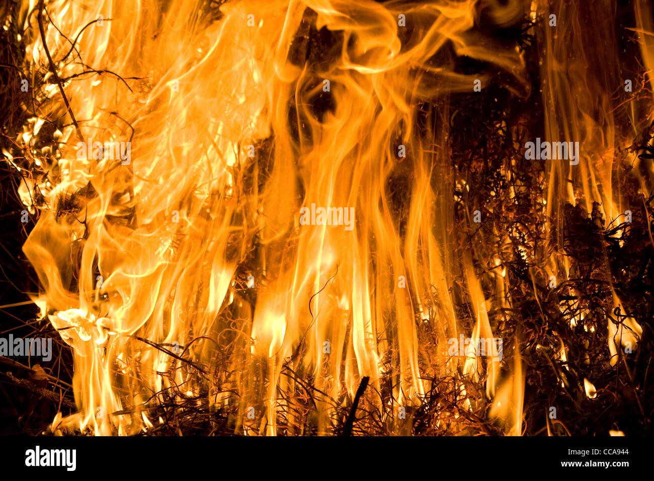 Fire in detail Stock Photo - Alamy