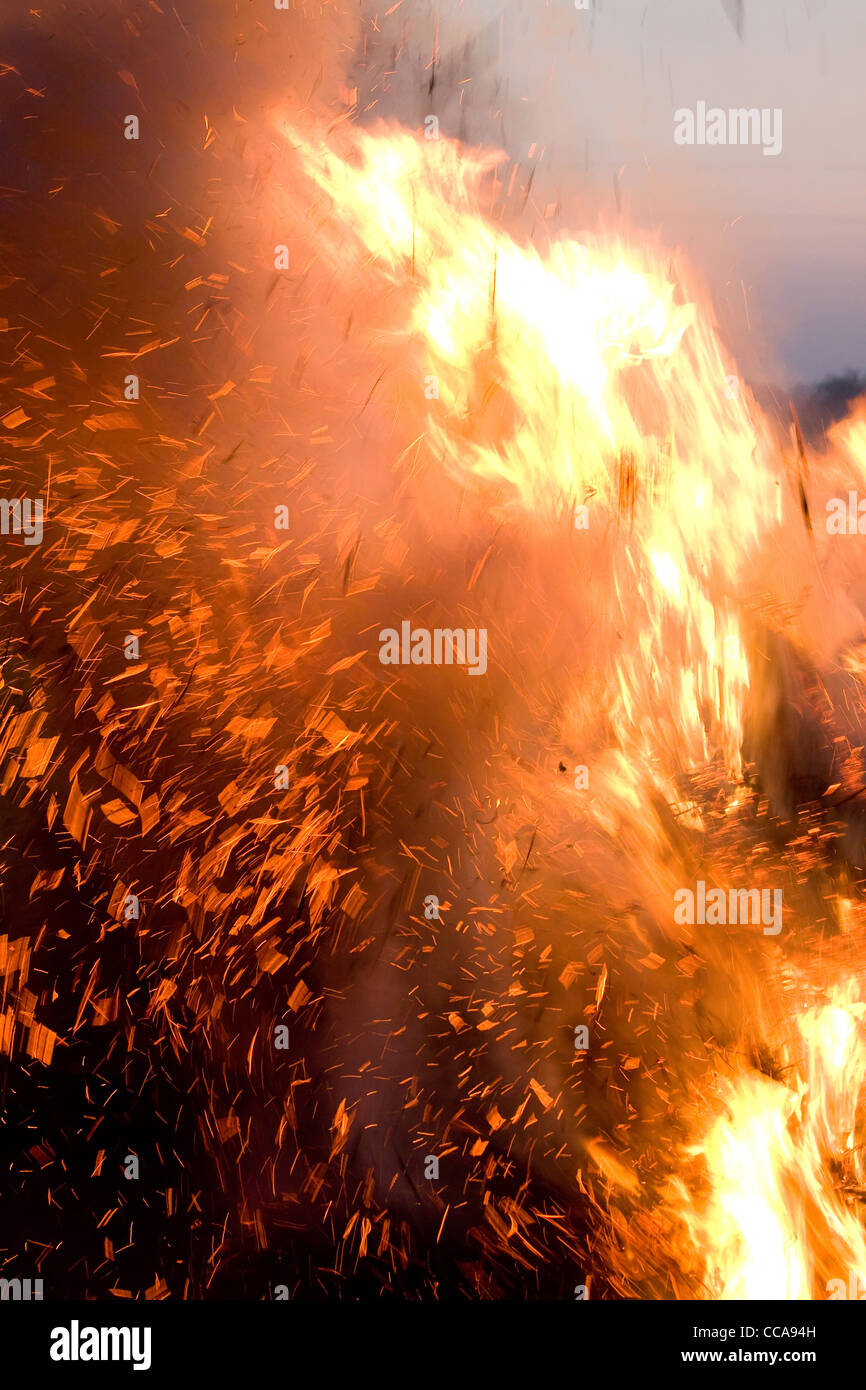 Makro site hi-res stock photography and images - Alamy