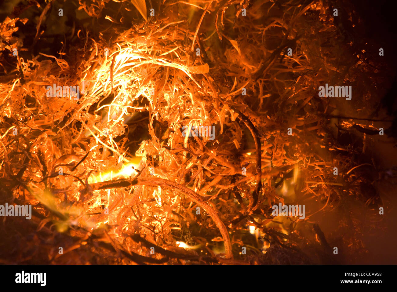 Fire in detail Stock Photo - Alamy