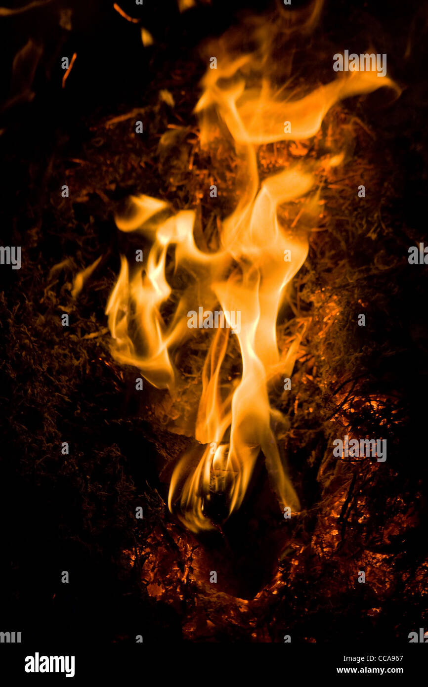 Fire in detail Stock Photo - Alamy