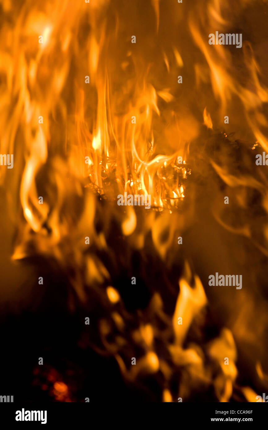 Fire in detail Stock Photo - Alamy