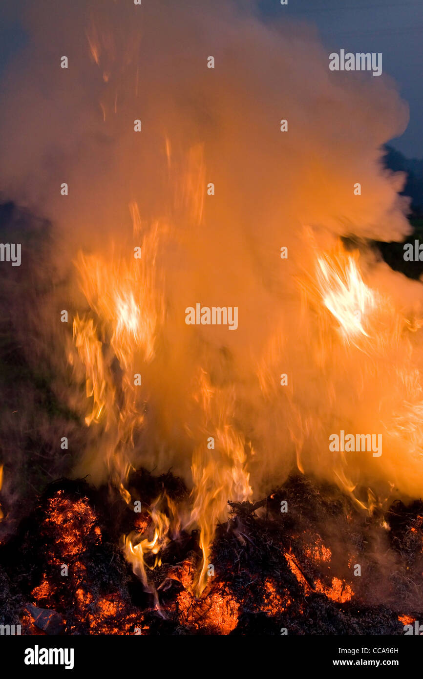 Fire in detail Stock Photo - Alamy