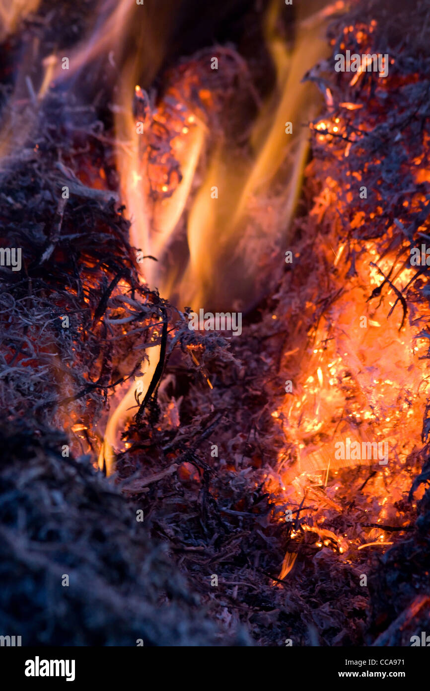 Fire in detail Stock Photo - Alamy