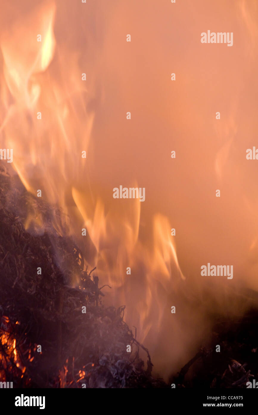 Fire in detail Stock Photo - Alamy