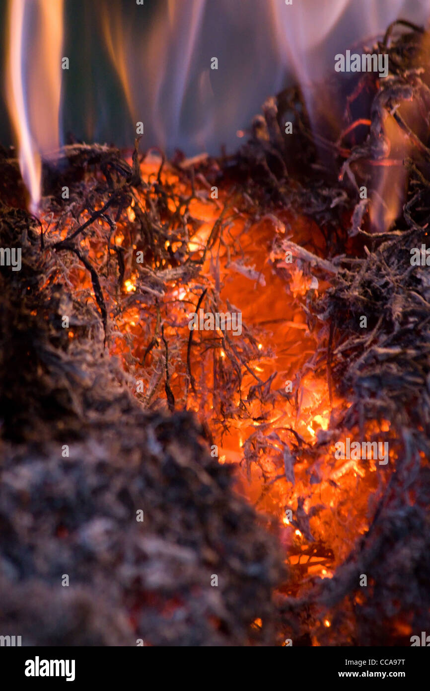 Fire in detail Stock Photo - Alamy