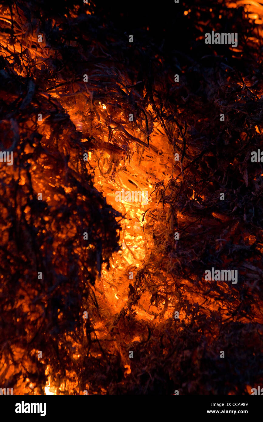 Fire in detail Stock Photo - Alamy