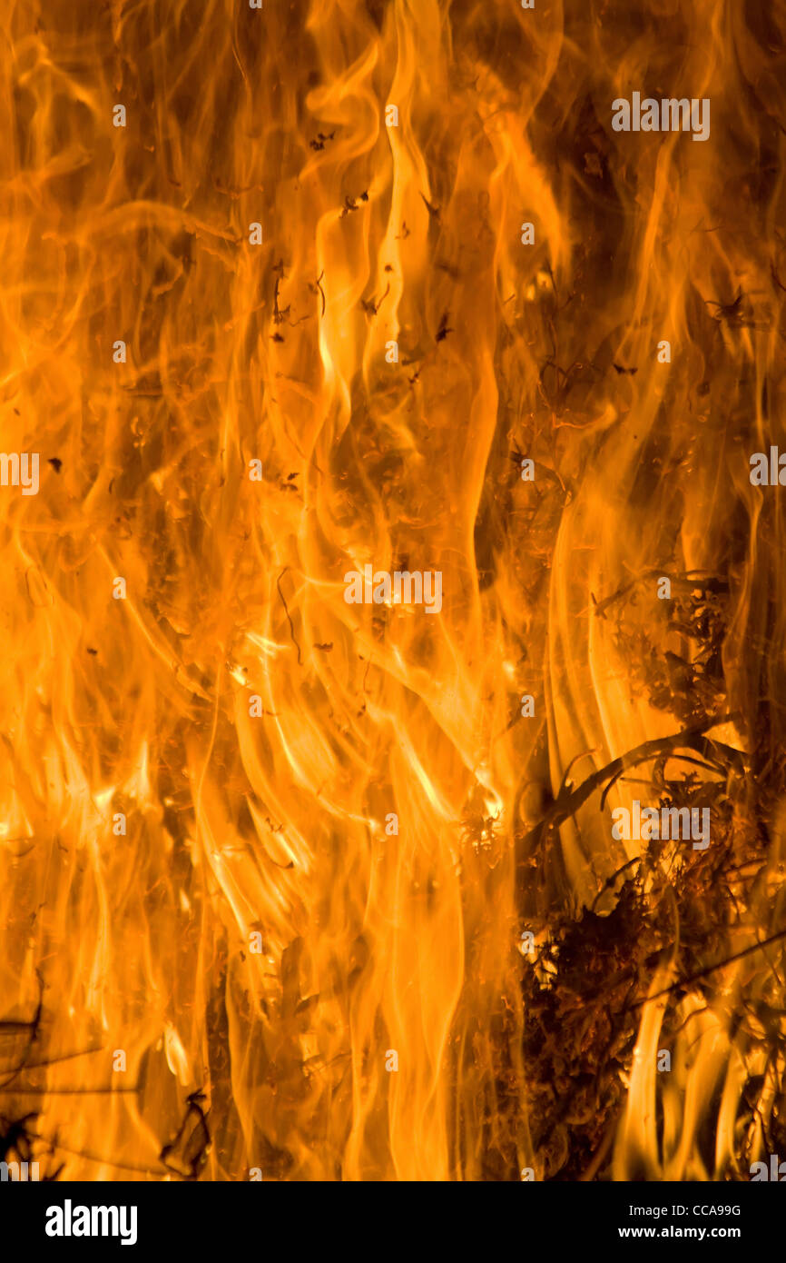 Fire in detail Stock Photo - Alamy