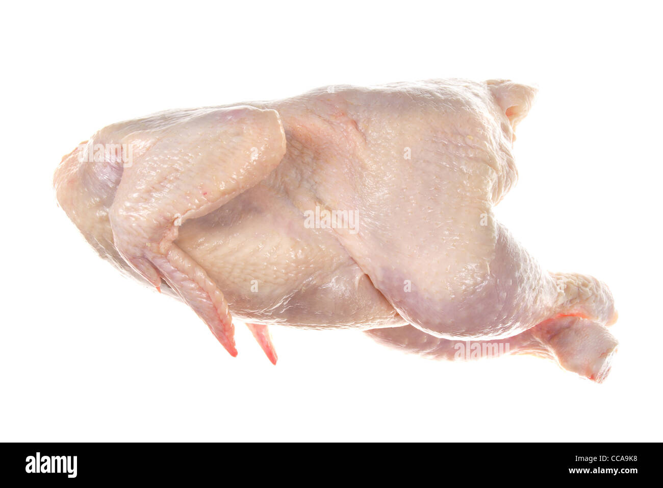raw chicken, photo on the white background Stock Photo - Alamy