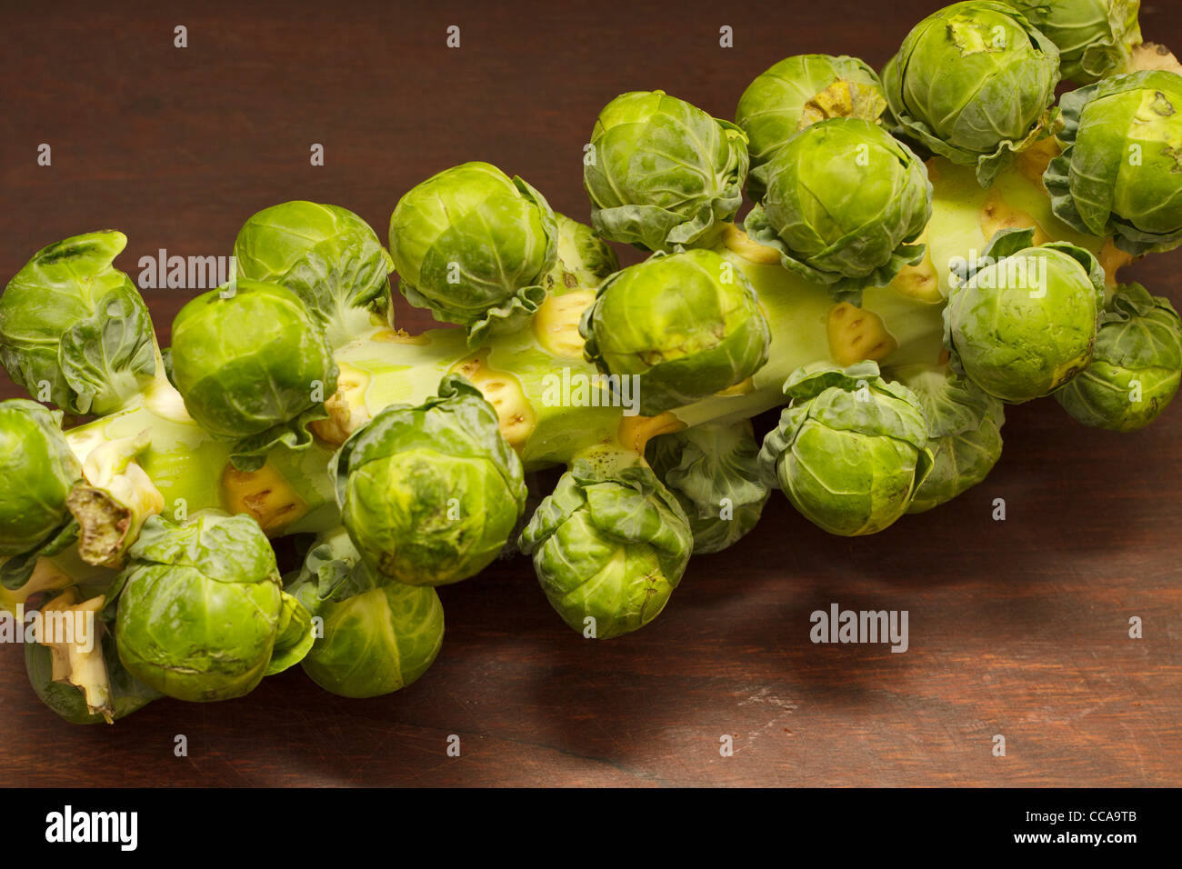 Brussels sprout stalk hi-res stock photography and images - Alamy
