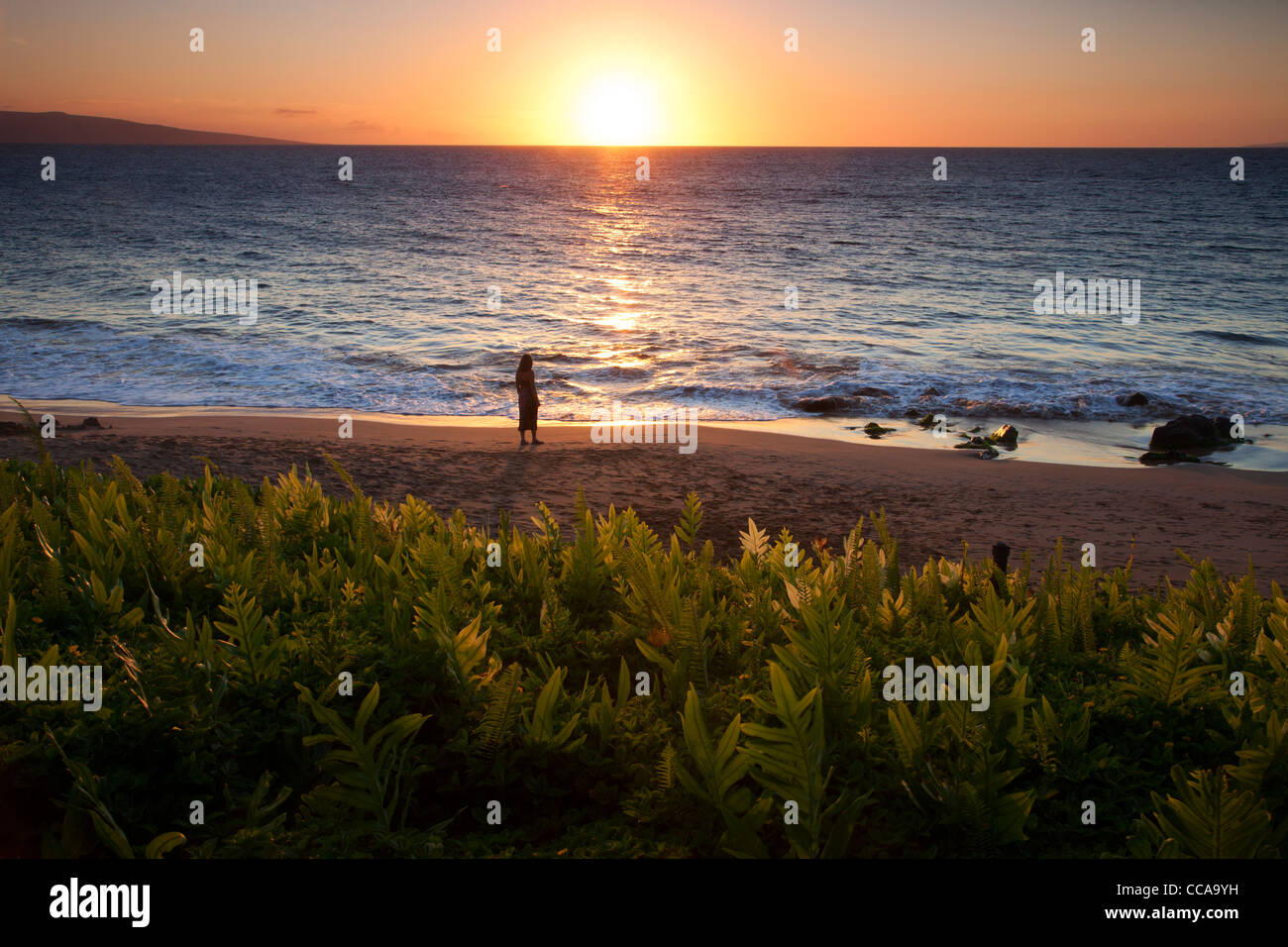A visitor at Ulua Beach, Wailea, Maui, Hawaii. (model released Stock ...