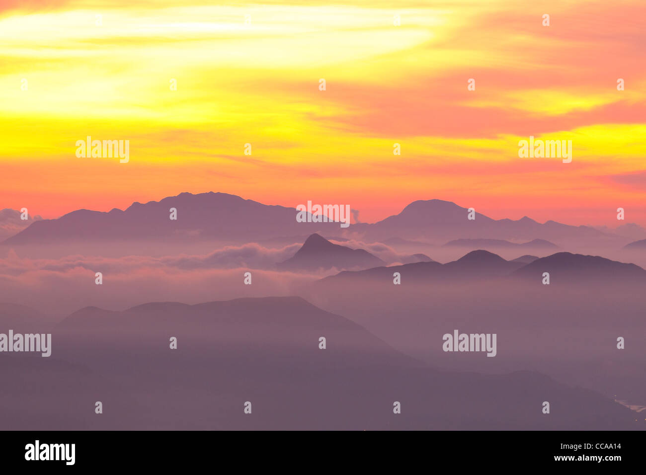Kau Forest High Resolution Stock Photography and Images - Alamy