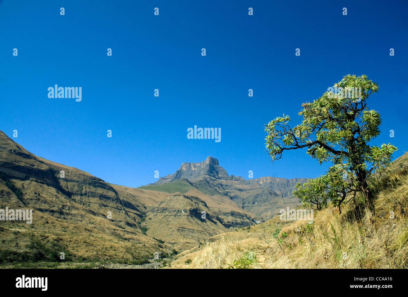 drakensberg mountains, kwazulu natal, south africa Stock Photo - Alamy