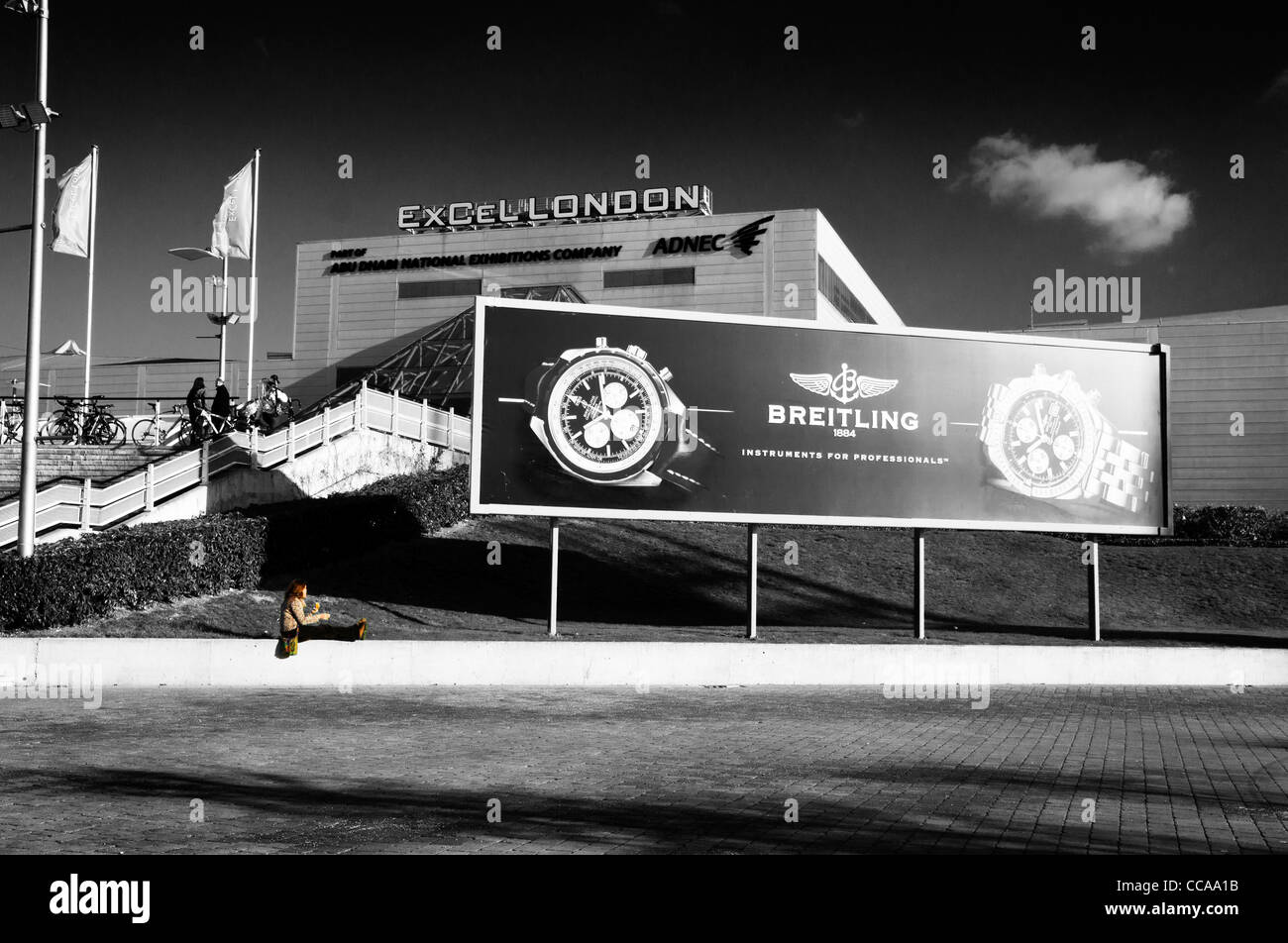 London Excel, international exhibition, event, concert and conference ...