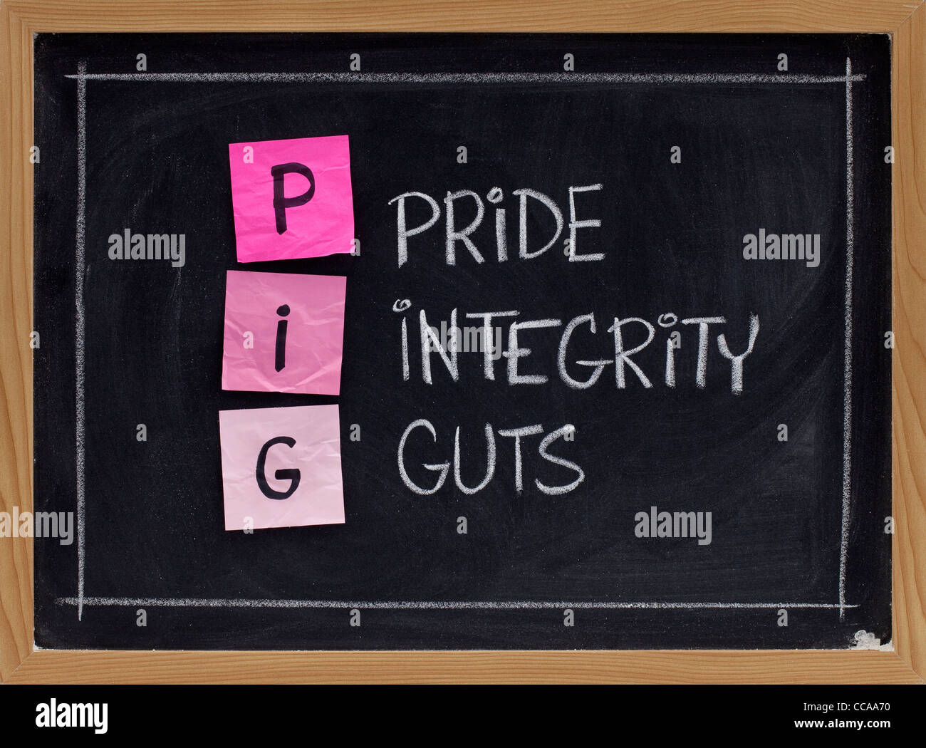 PIG - pride, integrity and guts - acronym created by police in the US ...