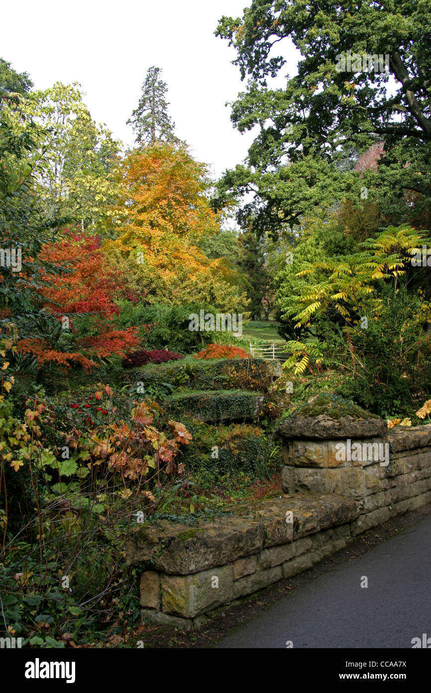 Batsford Arboretum Gloucestershire Stock Photo - Alamy