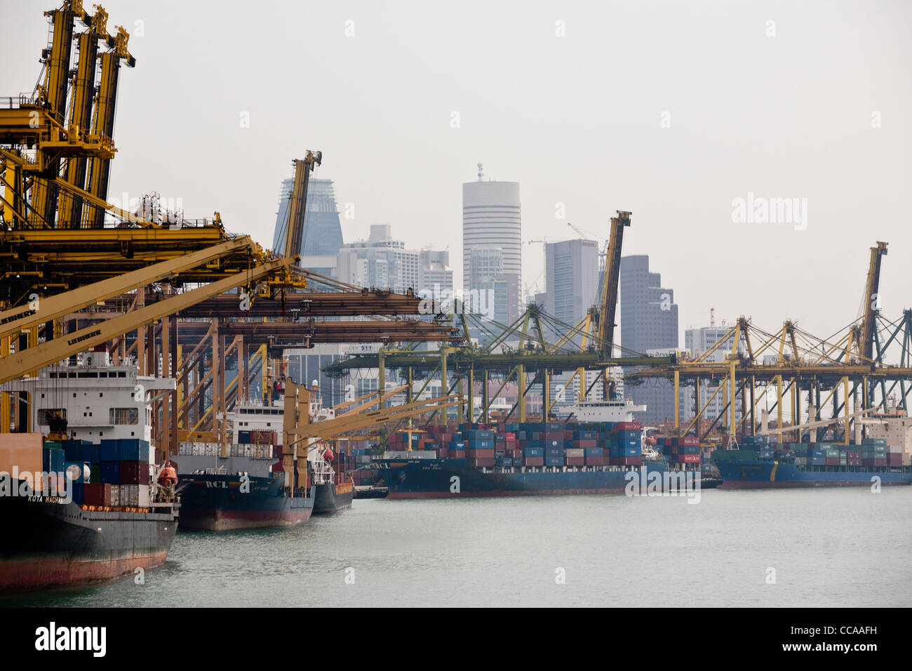 Container ships are moored at the quayside of the Brani Terminal at the ...