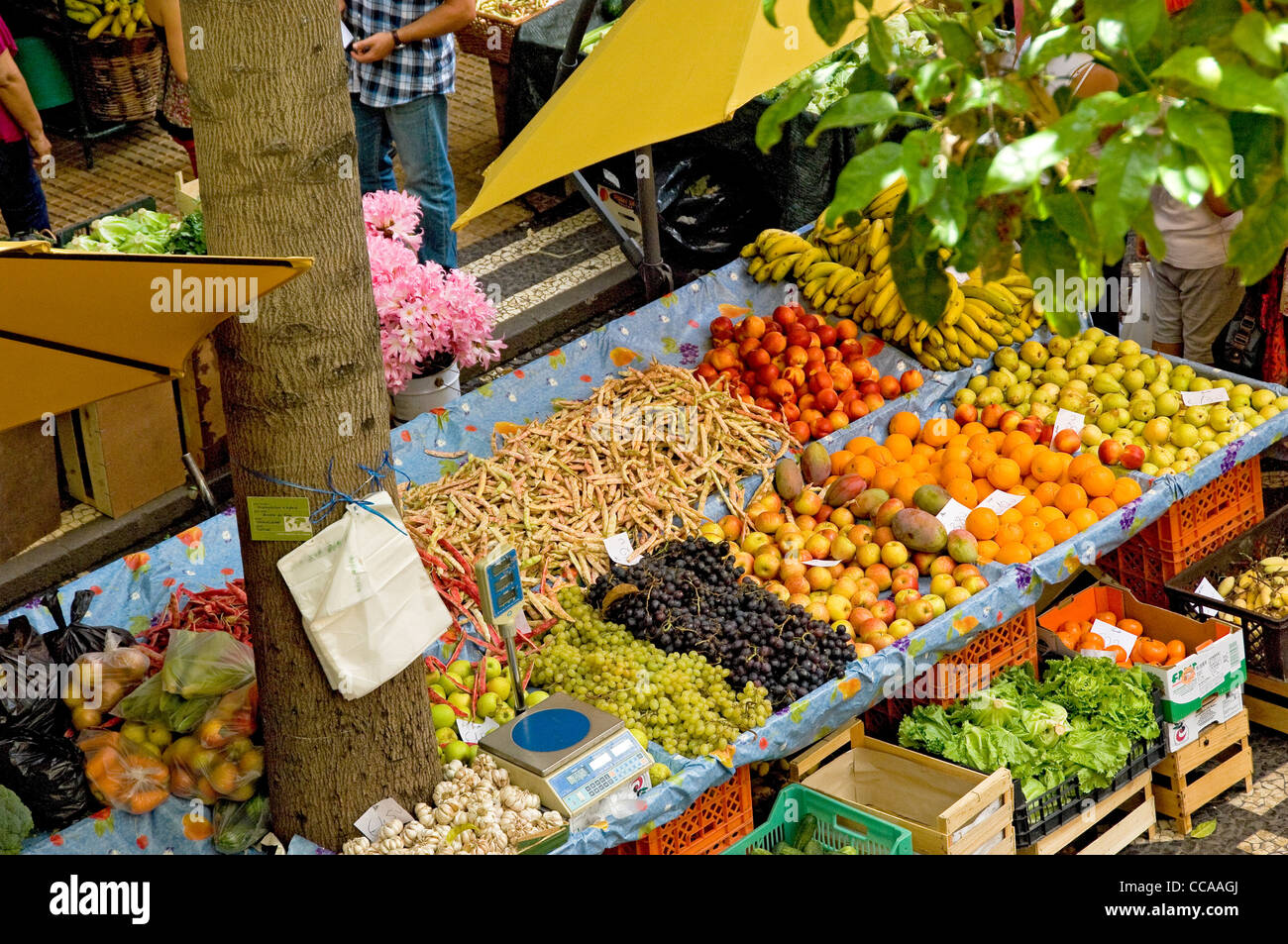 Farmers Market Stalls High Resolution Stock Photography and Images - Alamy