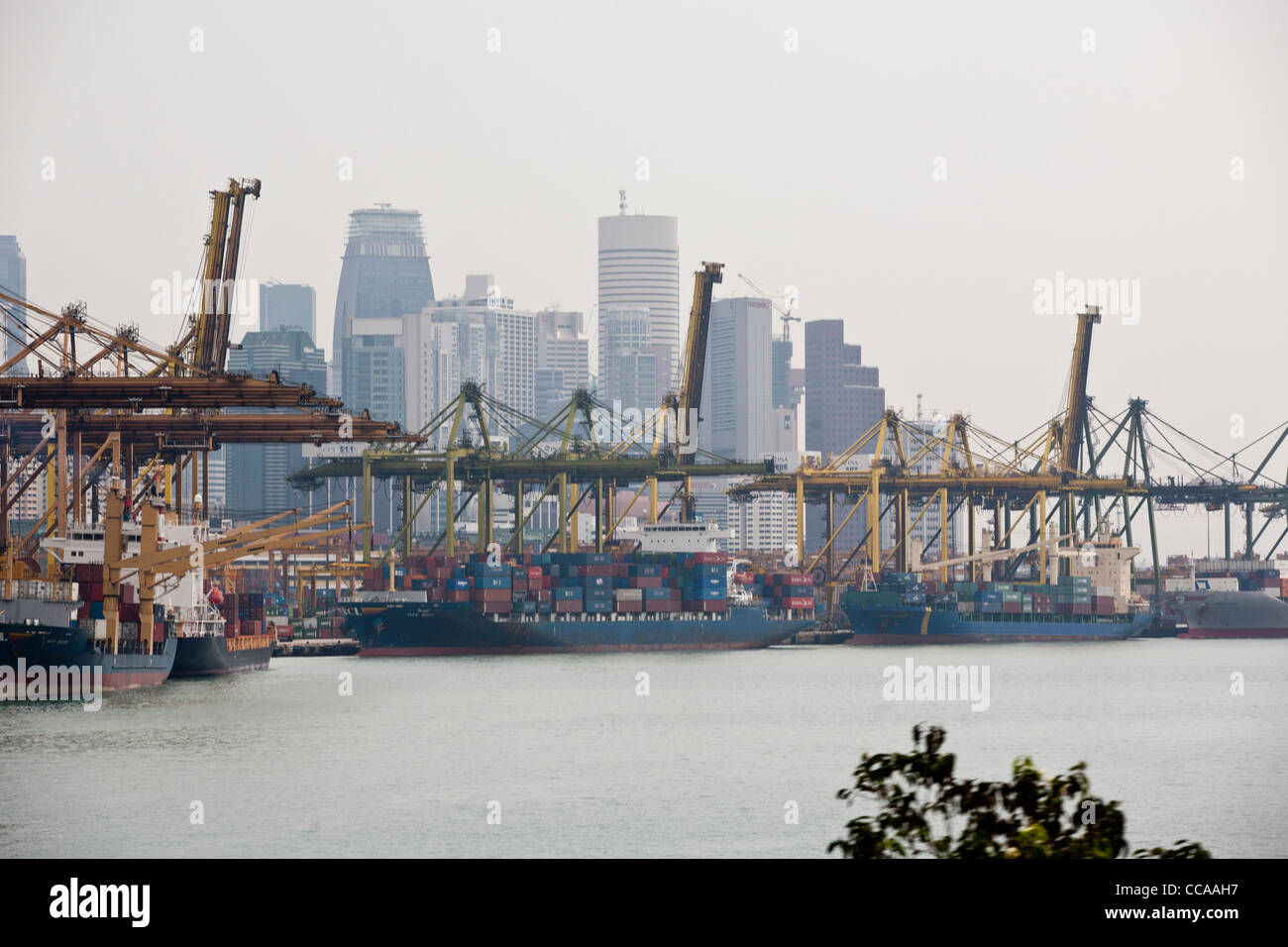 Container ships are moored at the quayside of the Brani Terminal at the ...