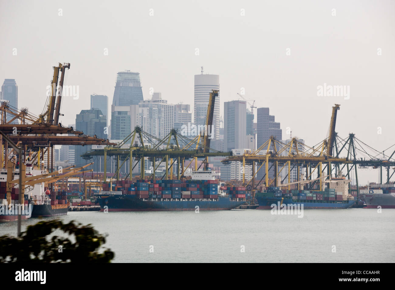 Container ships are moored at the quayside of the Brani Terminal at the ...