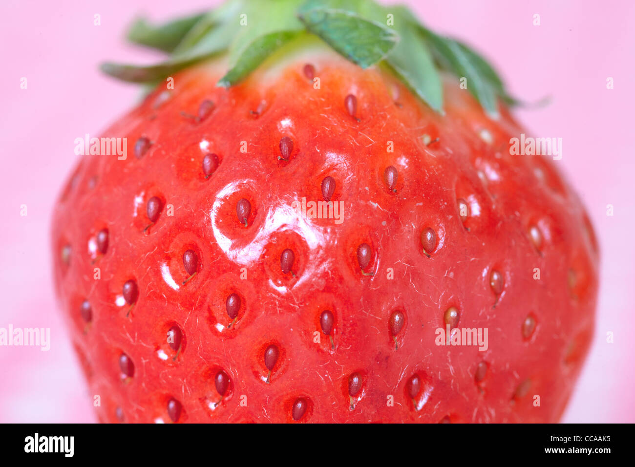 One strawberry hi-res stock photography and images - Alamy