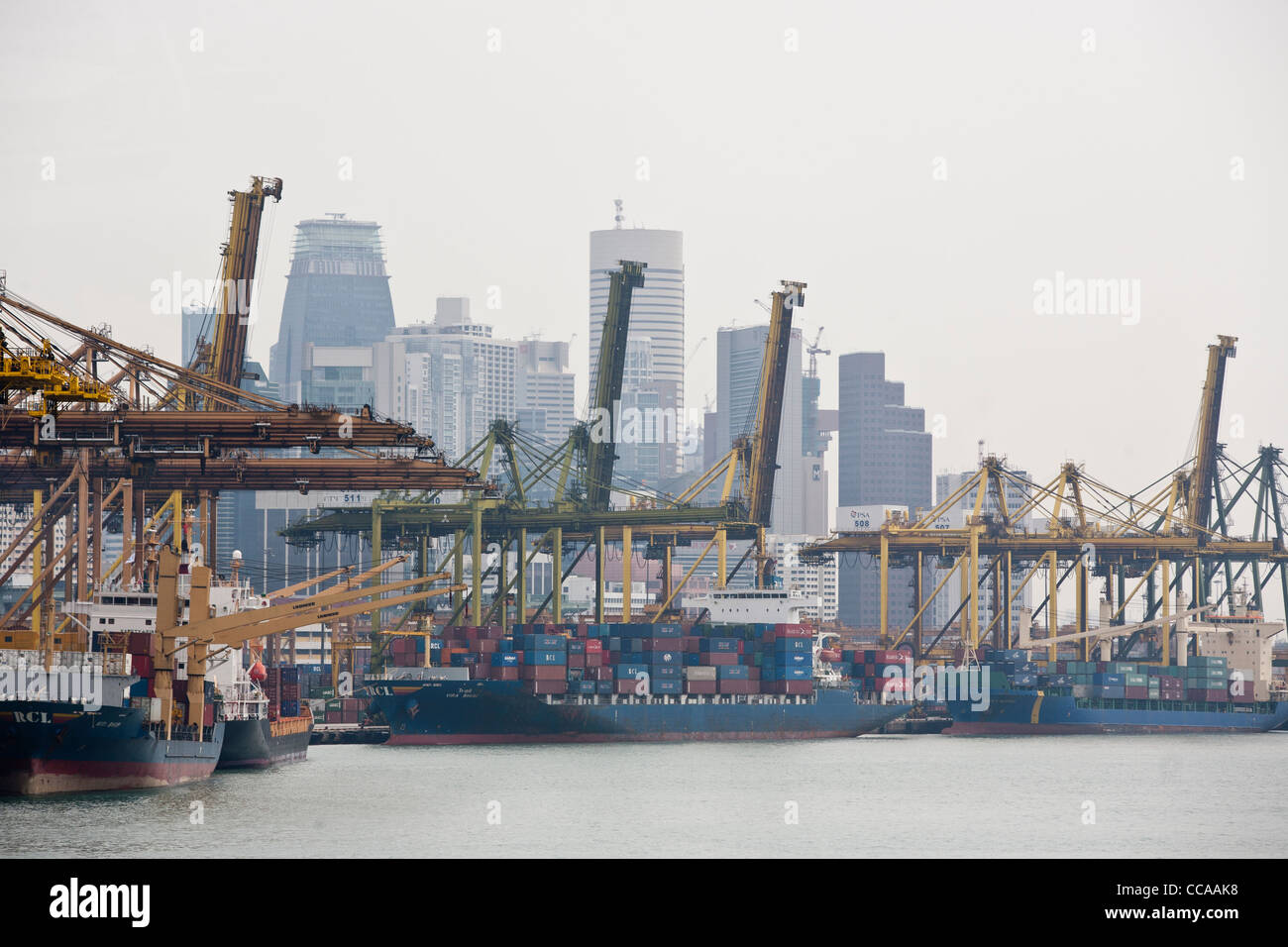Container ships are moored at the quayside of the Brani Terminal at the ...