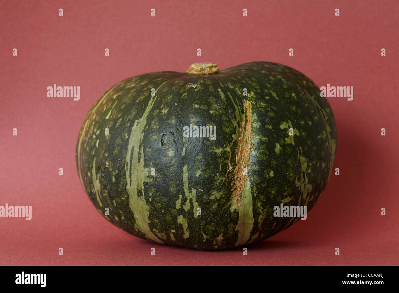 Japanese pumpkin hi-res stock photography and images - Alamy