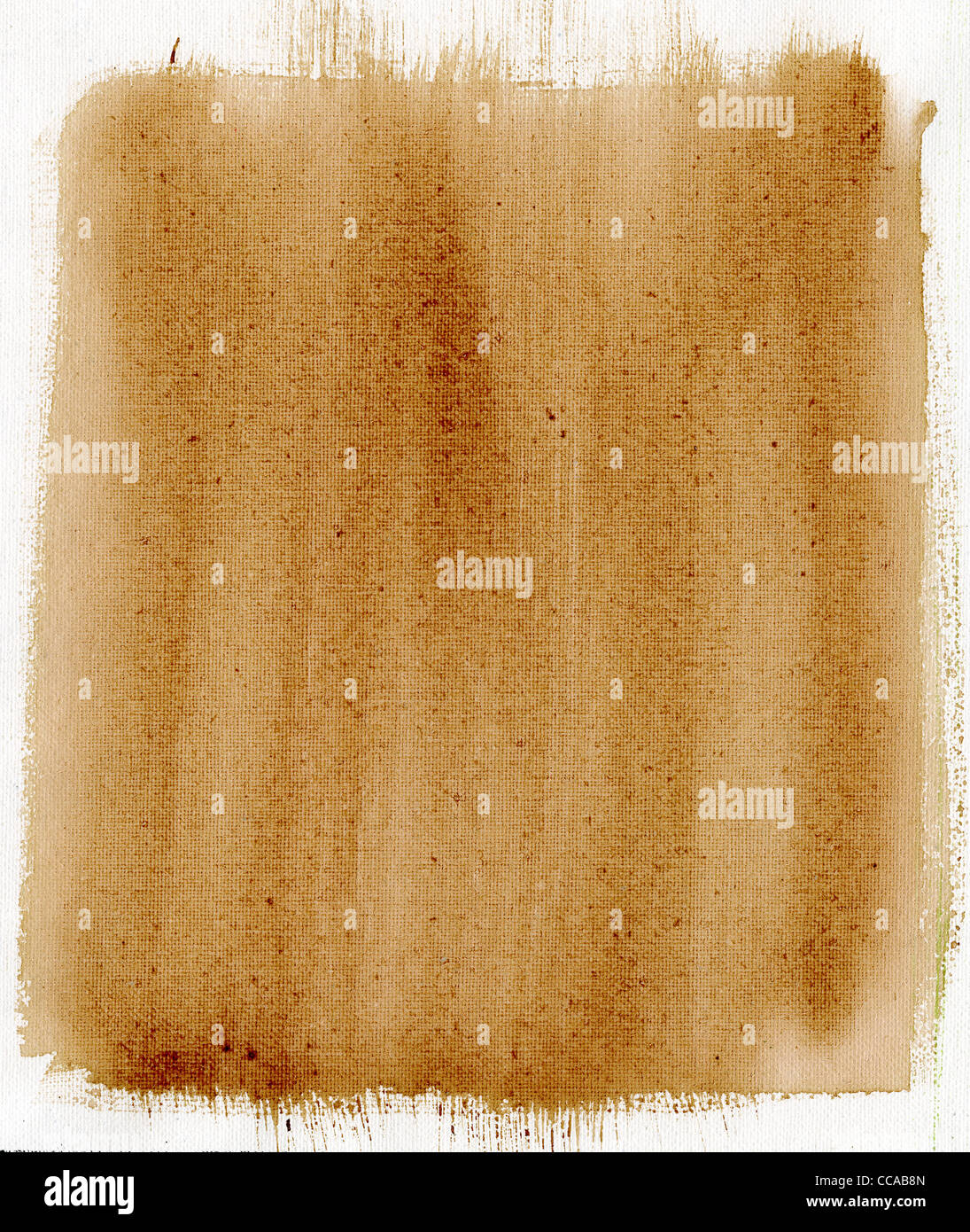 light brown watercolor painted abstract on white artist canvas, self ...