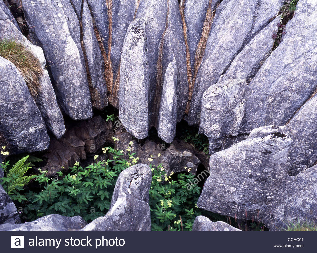 Swallow Hole Limestone High Resolution Stock Photography and Images - Alamy