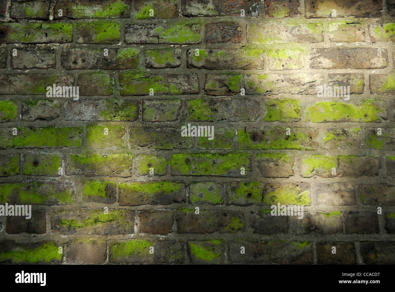 rustic brick wall rough surface Stock Photo - Alamy