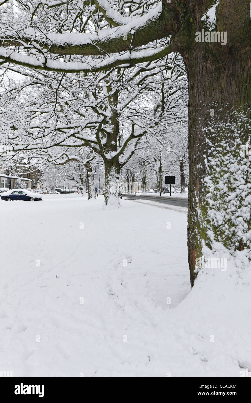 Snow on the Stray, Harrogate, Yorkshire Stock Photo - Alamy