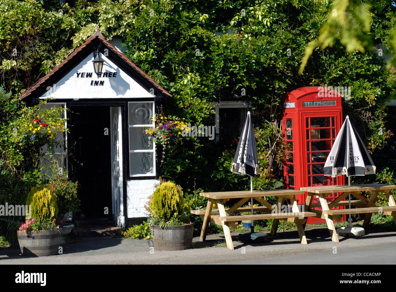The traditional pub the Yew Tree Inn in the village of Arlington ...