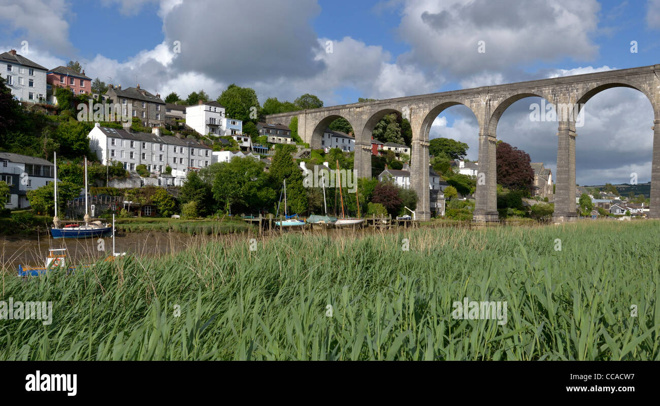 Tamar valley hi-res stock photography and images - Alamy