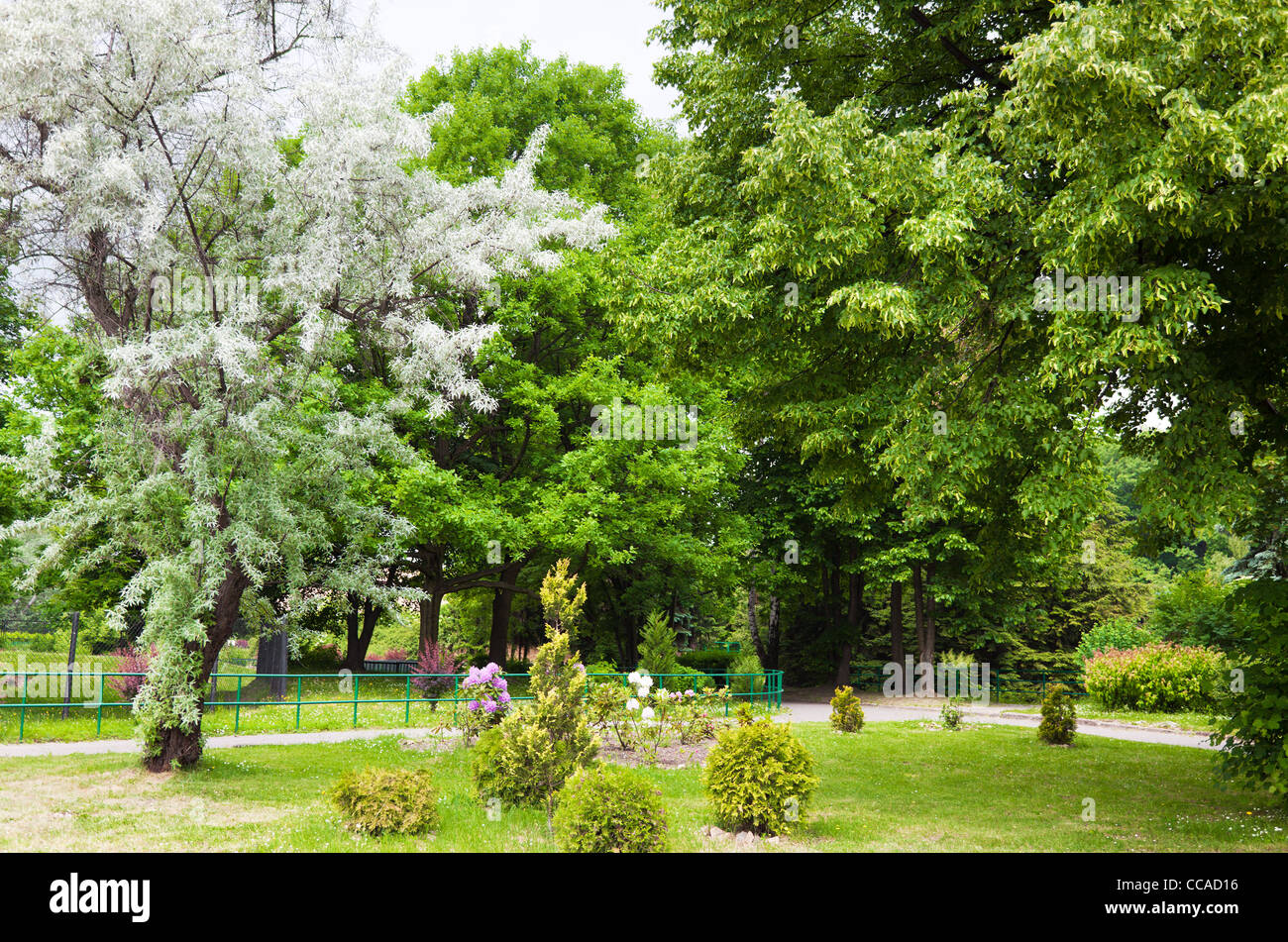 Park in spring Stock Photo - Alamy