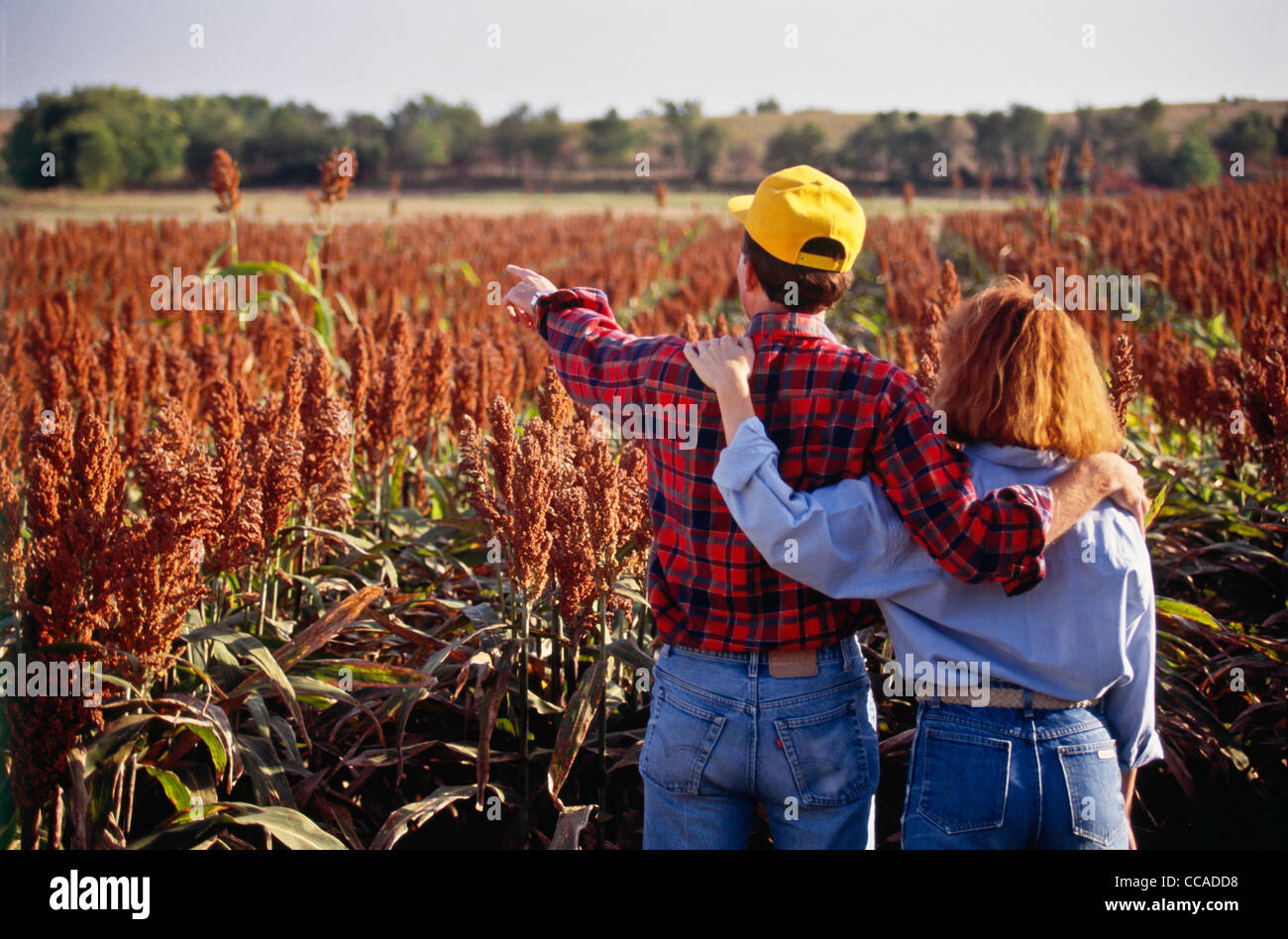 Farm Couple Overlooking Milo Field, Kansas Stock Photo - Alamy