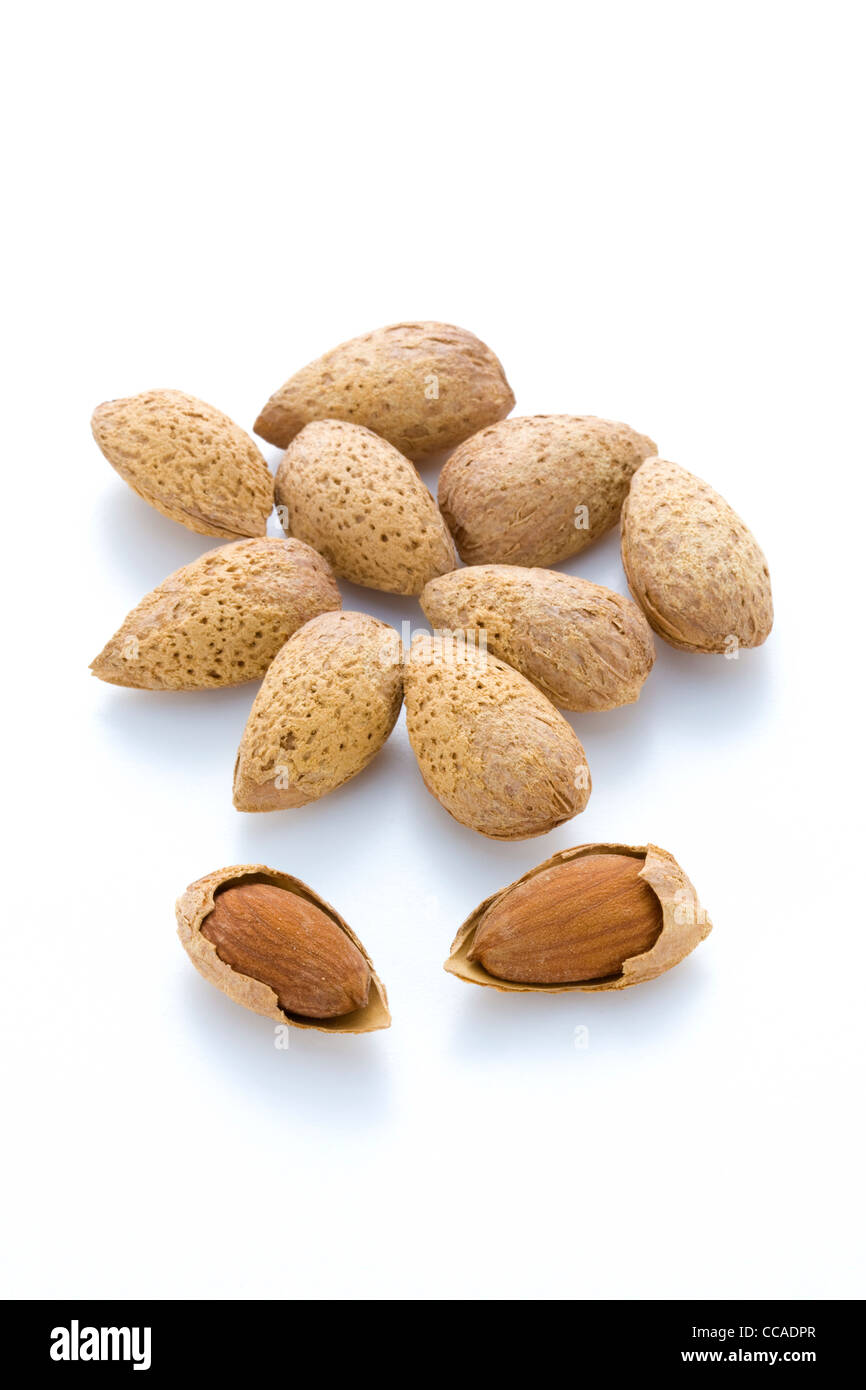 Almond shells Cut Out Stock Images & Pictures - Alamy